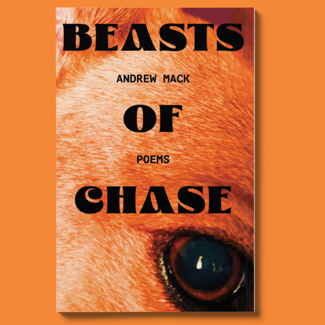 Loblolly Press | Diverse Stories from Southern Writers