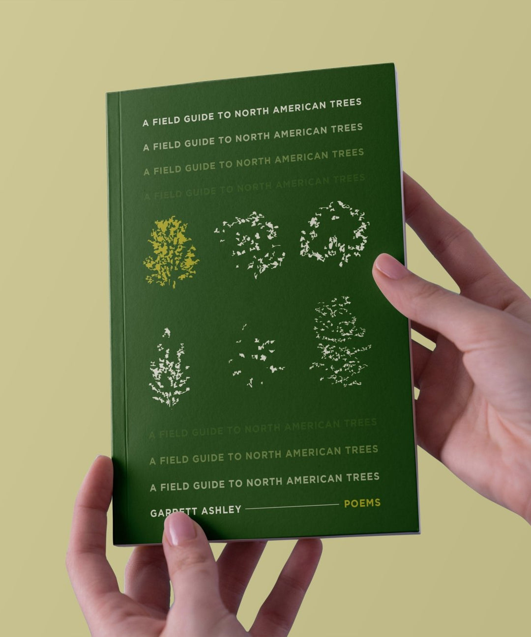 A Field Guide to North American Trees by Garrett Ashley | Loblolly Press