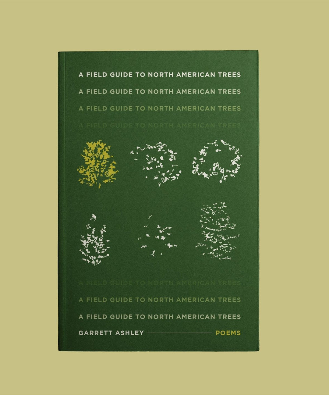 A Field Guide to North American Trees by Garrett Ashley | Loblolly Press